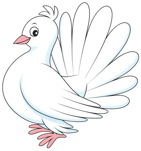 Authentication | Pigeon Mining